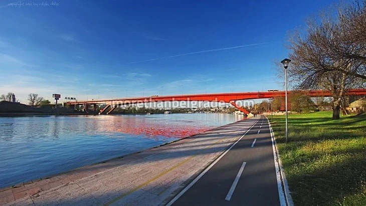 The bridges of Belgrade! - More Than Belgrade