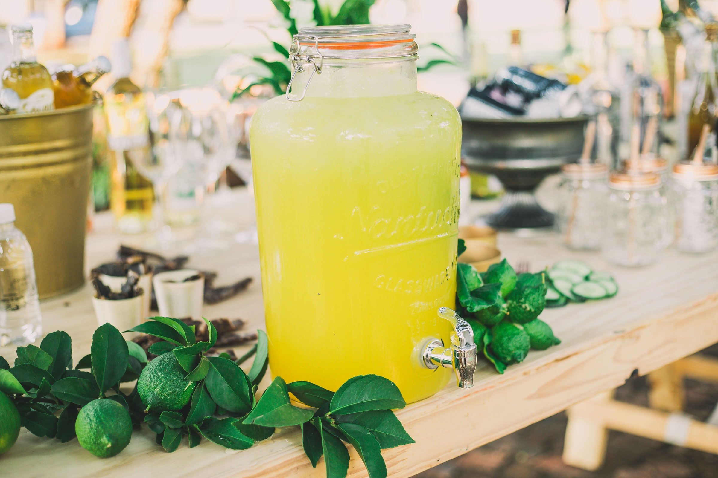 Humanitarian action - Lemonade for Shelter - More Than Belgrade